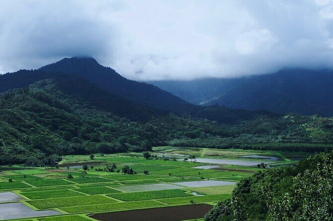 Kauai North Shore Private Guided Tour with Hotel or Port Pick-up - The Sum Up: Is It Worth It?