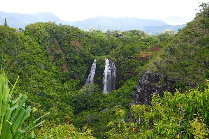Kauai North Shore Private Guided Tour with Hotel or Port Pick-up - Frequently Asked Questions
