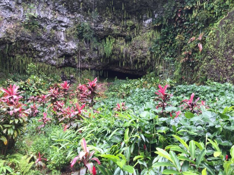 Kauai Northeast Tour, Fern Grotto River Cruise & Lighthouse - FAQ