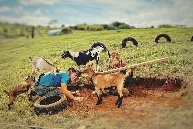 Kauai Private Baby Farm Animal Experience & Micro Dairy Immersion - Introduction