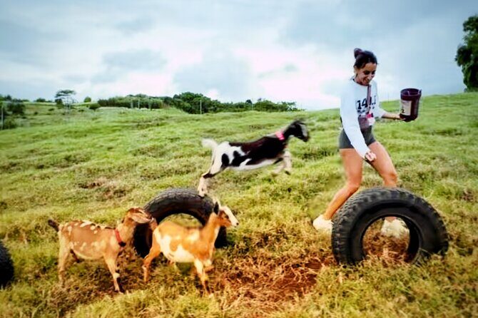 Kauai Private Baby Farm Animal Experience & Micro Dairy Immersion - What to Expect from the Tour