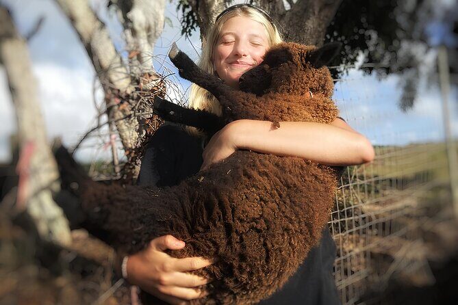 Kauai Private Baby Farm Animal Experience & Micro Dairy Immersion - Detailed Itinerary Breakdown