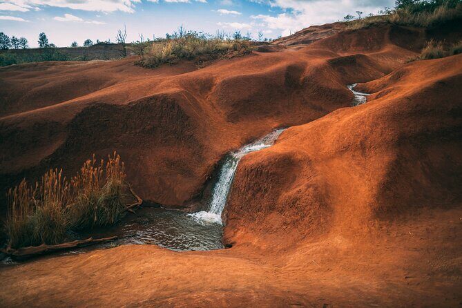 Kauai Private Guided Tour to Waimea Canyon from Nawiliwili - An In-Depth Look at the Kauai Private Tour Experience