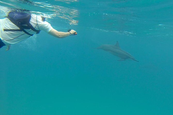 Kauai Sea Kayaking 10 mile tour - Na Pali Iki (Polihale to Milolii) - The Experience: What You’ll Feel and See