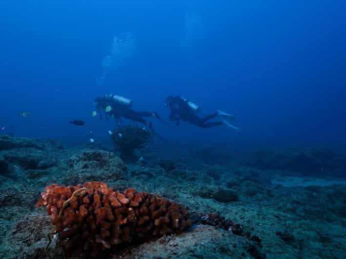 Kauai: Shore Diving at Koloa Landing, Poipu - Practical Tips for Booking