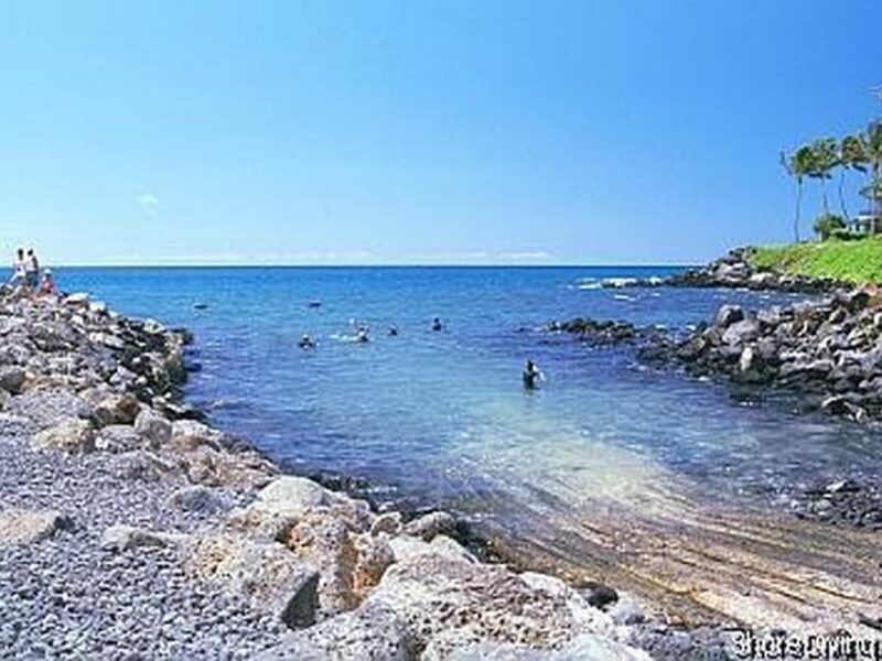 Kauai: Shore Diving at Koloa Landing, Poipu - Equipment, Safety, and Practicalities