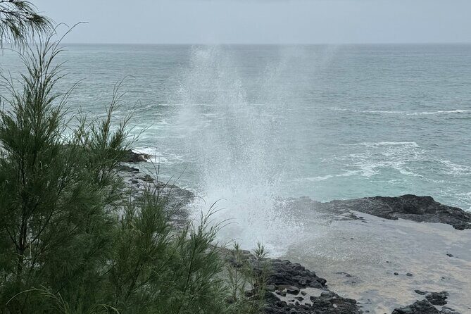 Kauai Shore Excursion - Waimea Canyon Adventure Tour - Nawiliwili - Who Should Consider This Tour?