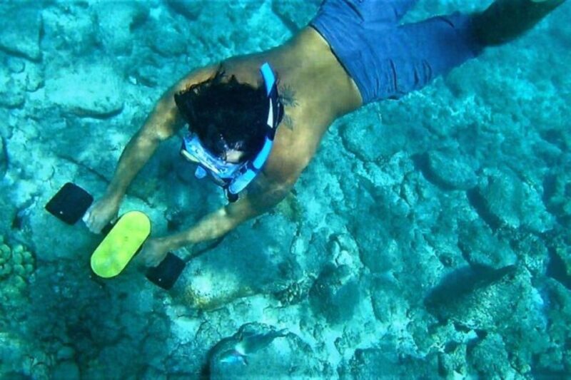 Kauai: Snorkeling Adventure with Sea Scooter - What Makes This Tour Stand Out