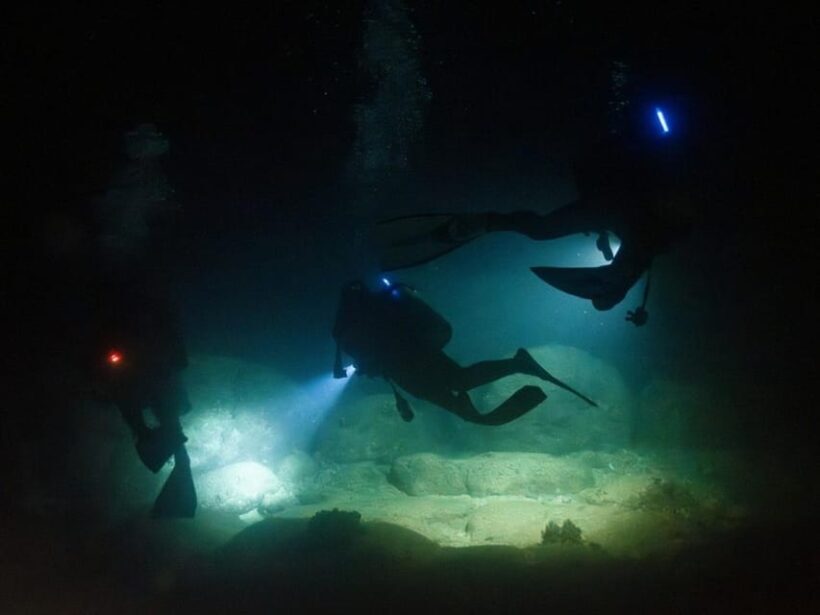 Kauai: Twilight/Night Shore Dive Experience - Introduction