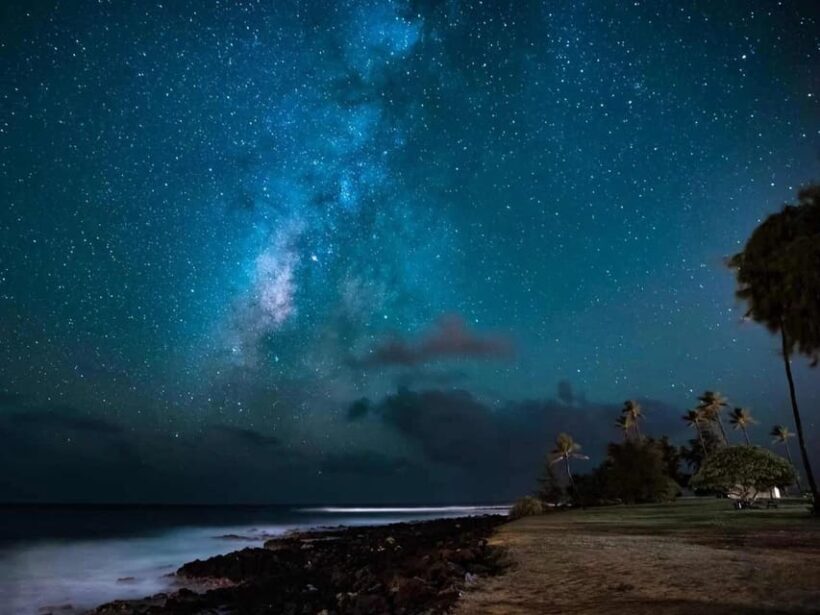 Kauai: Twilight/Night Shore Dive Experience - Why This Tour Stands Out