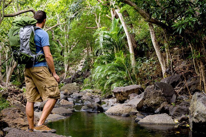 Kauai Wailua Valley & Waterfalls Audio Driving Tour - Who Will Love This Tour?