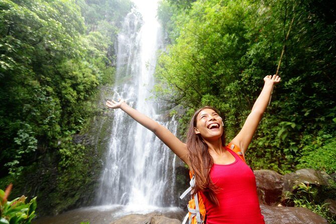 Kauai Wailua Valley & Waterfalls Audio Driving Tour - Who Might Want More?