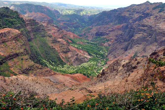 Kauai Waimea Canyon and Koke'e Tour - Pricing and Value