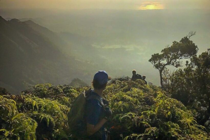 Kauai: Waimea Canyon & Kokee State Park Private Tour - Key Points