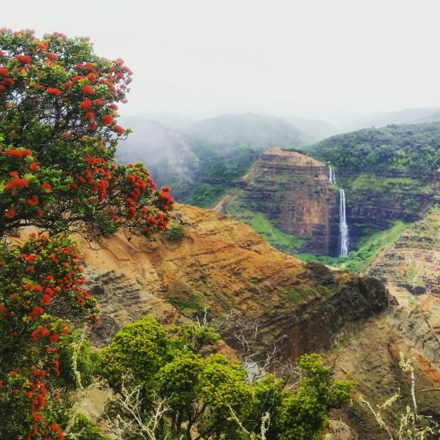 Kauai: Waimea Canyon & Kokee State Park Private Tour - Practical Considerations