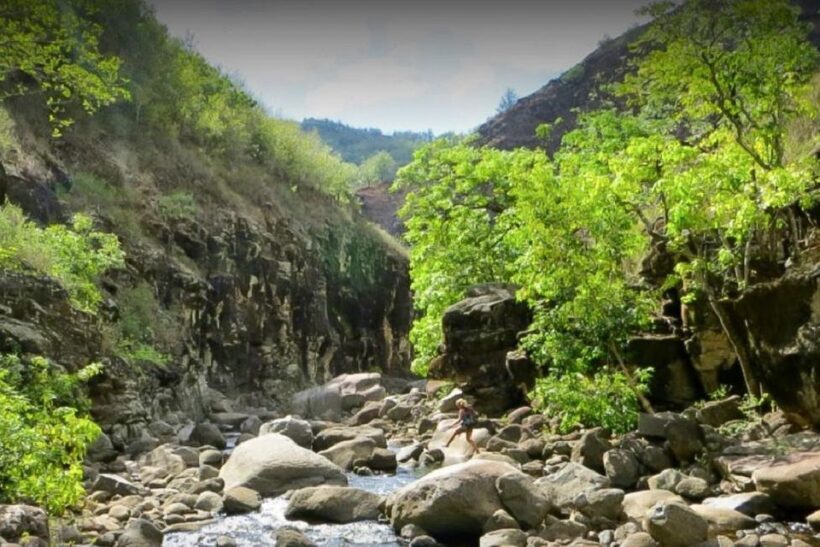 Kauai: Waimea Canyon & Kokee State Park Private Tour - Who is This Tour Best For?