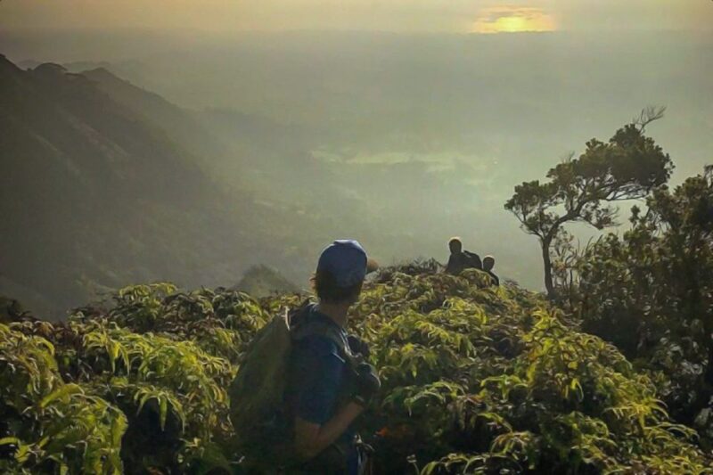 Kauai: Waimea Canyon & Kokee State Park Private Tour - Introduction