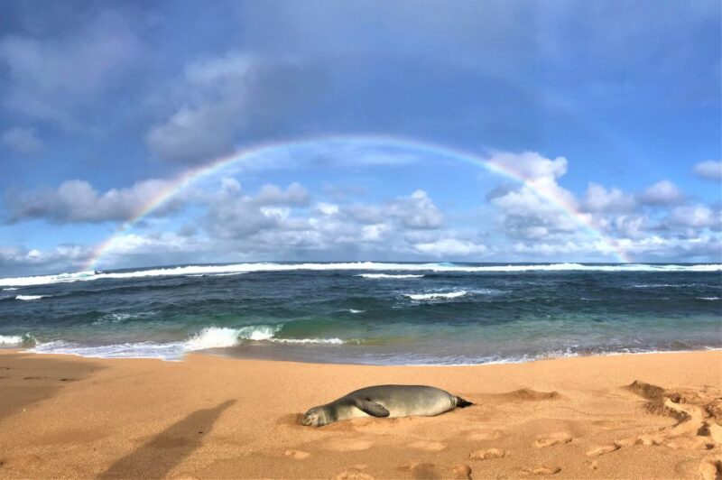 Kauai: Waimea Canyon & Kokee State Park Private Tour - Transportation and Logistics