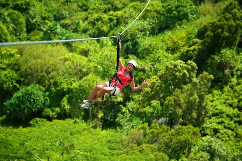 Kauai: Zipline Adventure - A Closer Look at the Kauai Zipline Experience