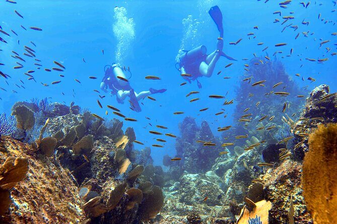 Kauai's Exclusive Morning Scuba Charter for Experienced Divers - The Experience for the Diver
