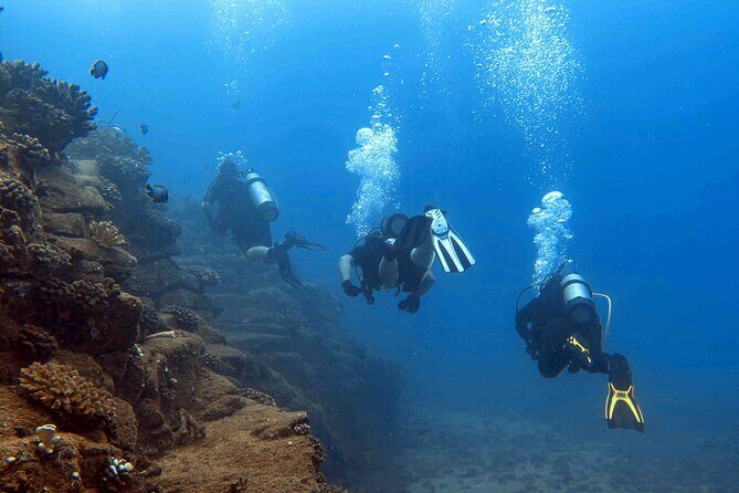 Kauai's Exclusive Morning Scuba Charter for Experienced Divers - The Sum Up
