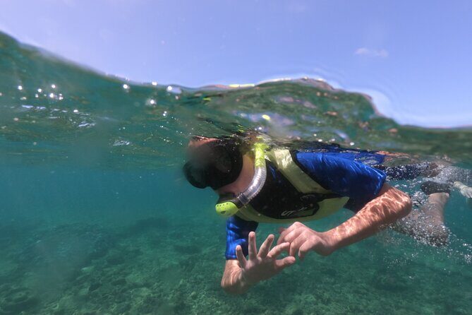 Kauai's Ultimate Guided Shore Snorkel (NO BOAT): North Anini - Why Youll Love This Shore Snorkel Tour