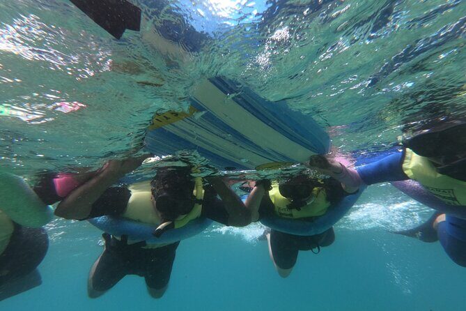 Kauai's Ultimate Guided Shore Snorkel (NO BOAT): North Anini - Authentic Experiences and Honest Opinions