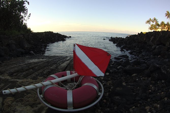 Kauais Ultimate South Shore 2 Tank Dive (Certified Divers Only) - Marine Life Sightings