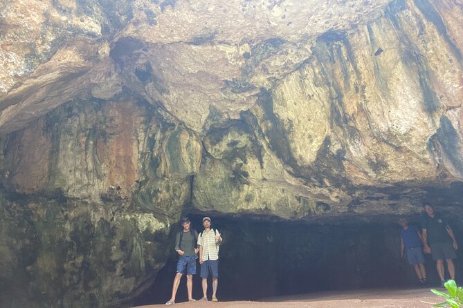 Kauais Waimea Canyon and South Side Private Guided Tour - Guest Reviews and Experiences