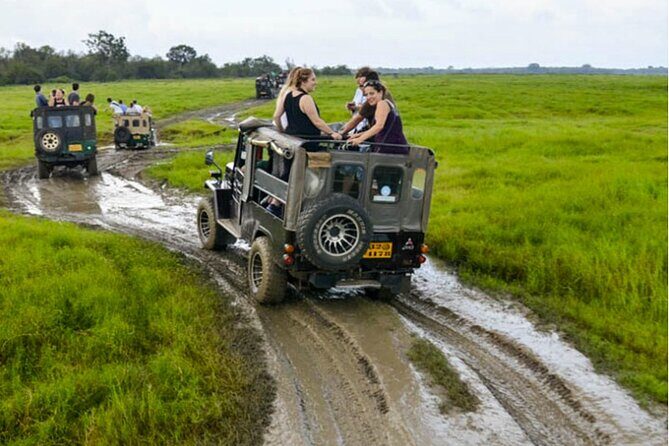 Kaudulla Jeep Safari & Dambulla Day Tour From Trincomalee - Introduction