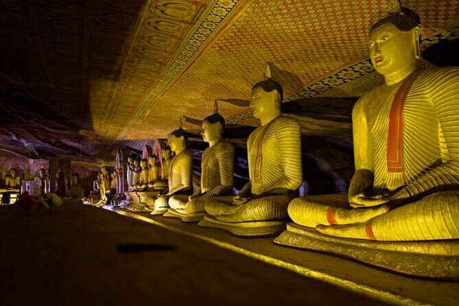 Kaudulla Jeep Safari & Dambulla Day Tour From Trincomalee - The Sum Up
