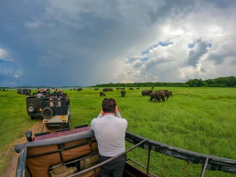 Kaudulla: Kaudulla National Park Elephant Safari - Final Thoughts
