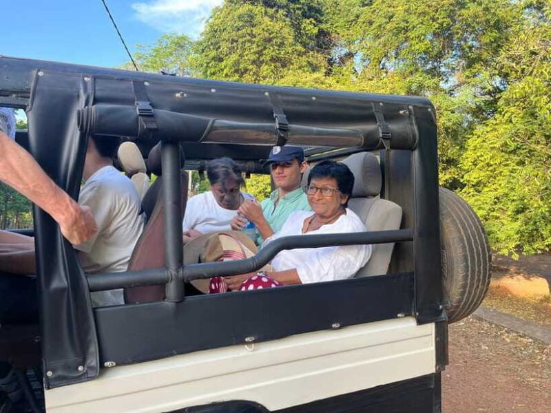 Kaudulla National Park: Elephant Safari Jeep Tour - Wildlife and Birdwatching Opportunities