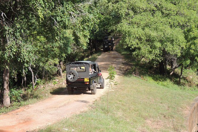 Kaudulla National Park Entrance Ticket with Private Safari - FAQ