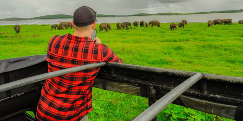 Kaudulla National Park Half Day Sri Lanka Jeep Safari - In-Depth Look at the Itinerary