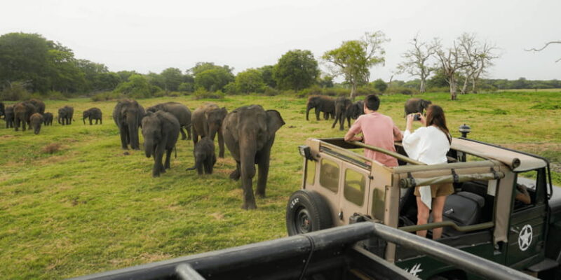 Kaudulla National Park Half Day Sri Lanka Jeep Safari - Whats Included and Whats Not