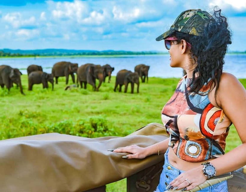Kaudulla National Park Jeep Safari - Who Will Love This Safari?