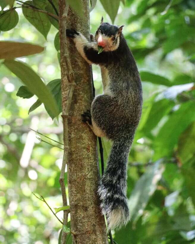 Kaudulla National Park Private Elephant Safari - Key Points