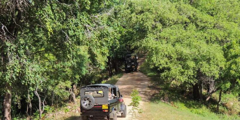 Kaudulla National Park: Private Safari - What Makes This Safari Special?