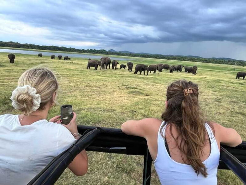 Kaudulla National Park: Private Safari - Summing Up: Is this Safari Right for You?