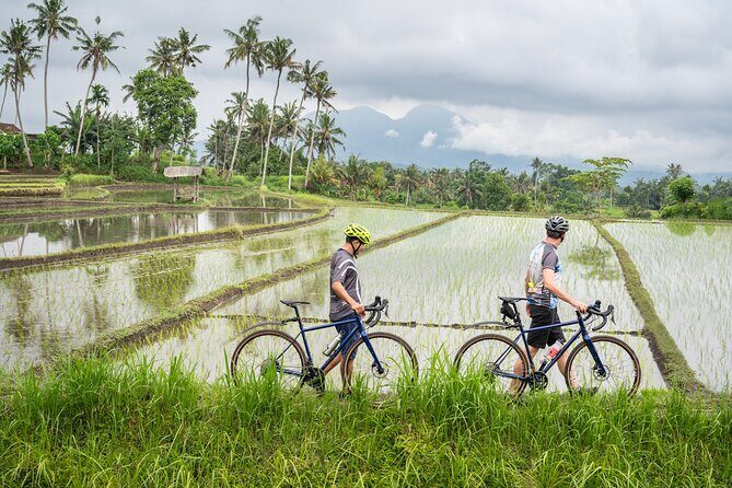 Kaura: Bike to Beach & Choose Optional Tour with Private Transfer - Analyzing the Value