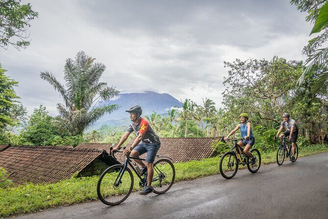 Kaura: Bike to Beach & Choose Optional Tour with Private Transfer - Final Thoughts
