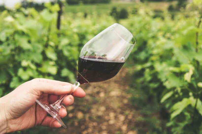 Kavala: VinoTour - Wineries Private Tour - An In-Depth Look at Kavala’s VinoTour Experience