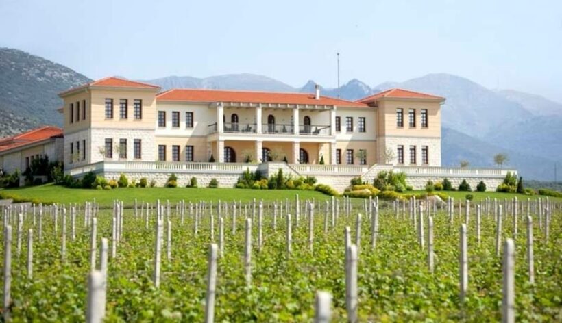 Kavala: VinoTour - Wineries Private Tour - Customer Feedback & Highlights