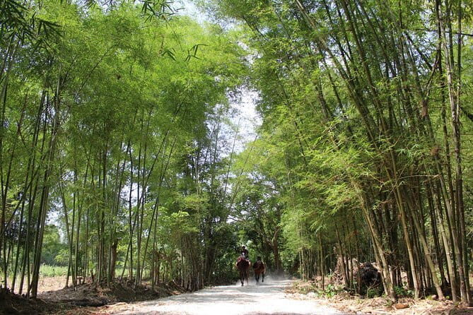 Kayah Villages Full Day Tour (Pan Pet & Hta Nee La) - What Past Participants Say