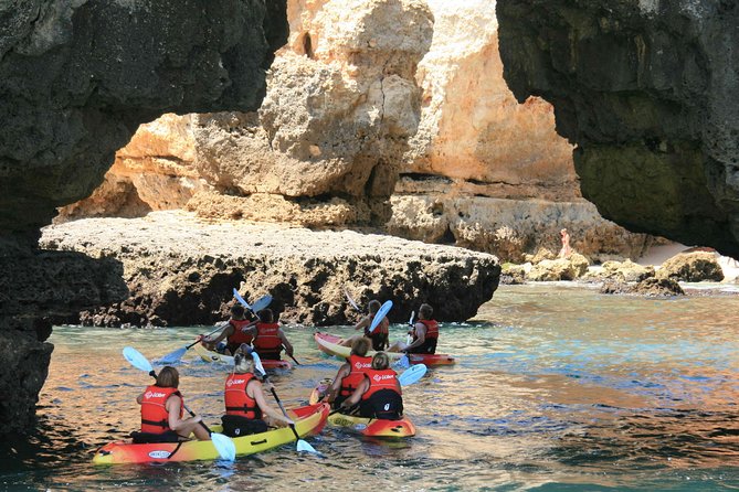 Kayak 2H30 Grottos Ponta da Piedade - Lagos - What to Expect on the Kayak to Ponta da Piedade Grottos