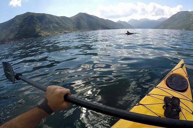Kayak Active Tour - Tour Details