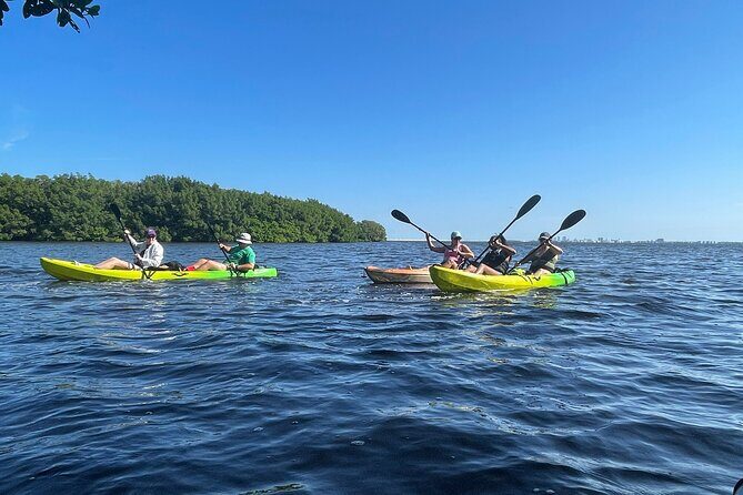 Kayak Adventure at Shell Key Preserve in Tierra Verde - Final Thoughts: Is It Worth It?