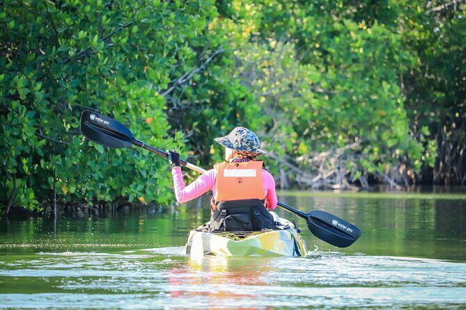 Kayak Adventure in Cancun - The Value of the Experience