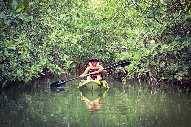 Kayak Adventure in Cancun - The Sum Up: Who Is This Tour Best For?